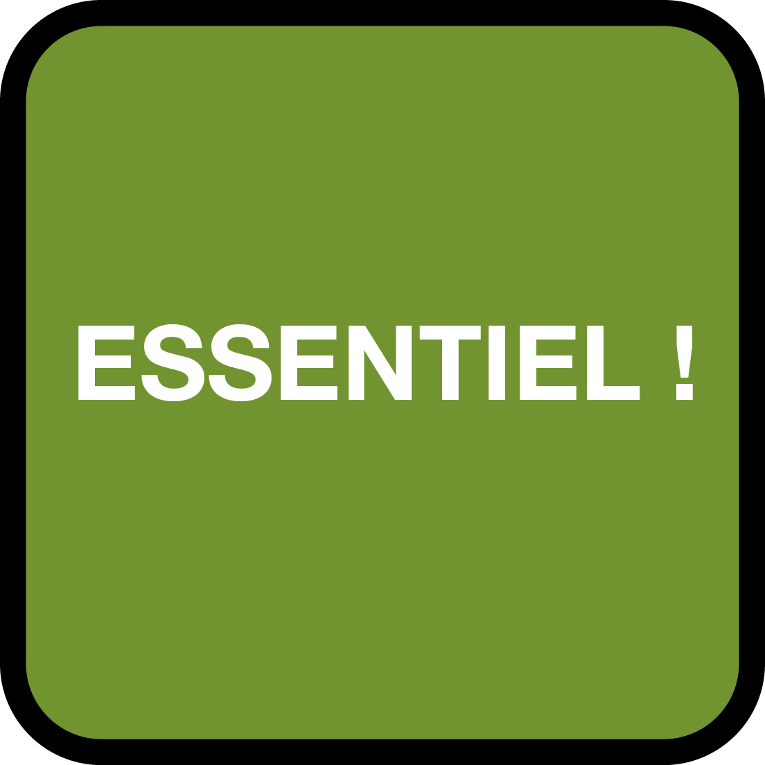 essentiel – Institut des cultures arabes et méditerranéennes (ICAM)